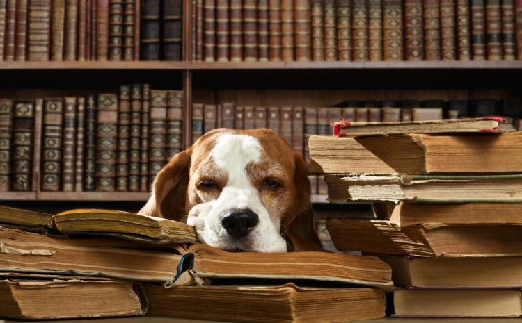 Constitutional Law for Dogs – NKY Magazine